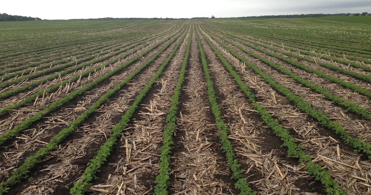 Four years of tillage research wraps up