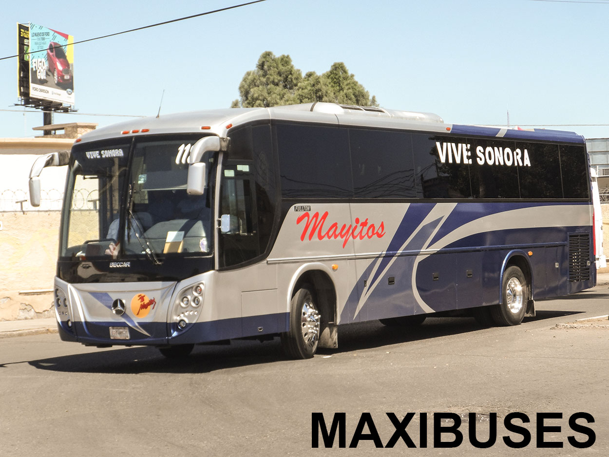 MAXIBUSES: AUTOBUSES LOS MAYITOS