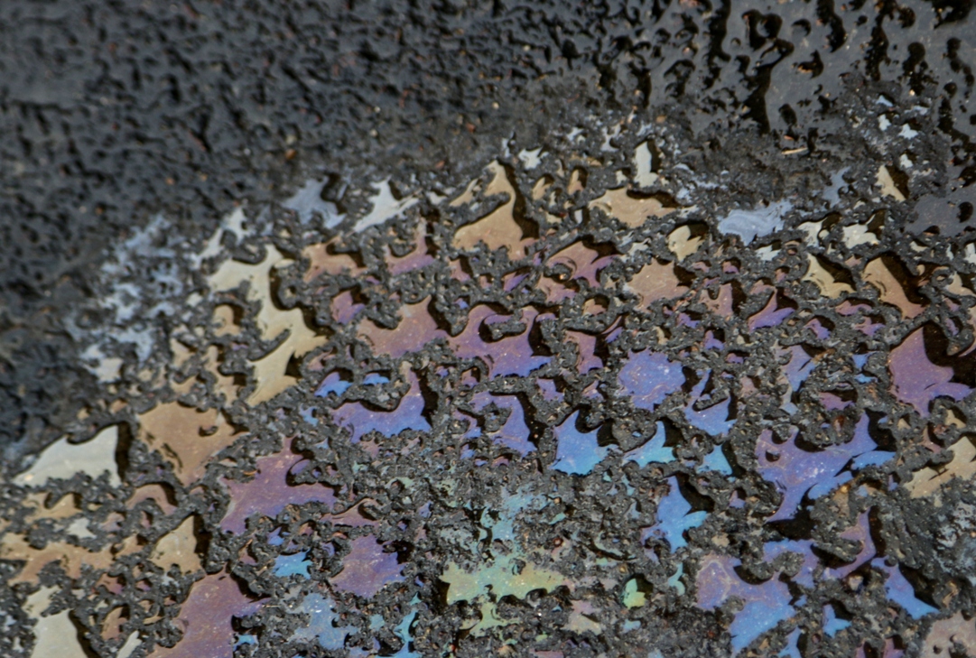 A photo, A thought............: Observation: Rainbow effect of oil ...