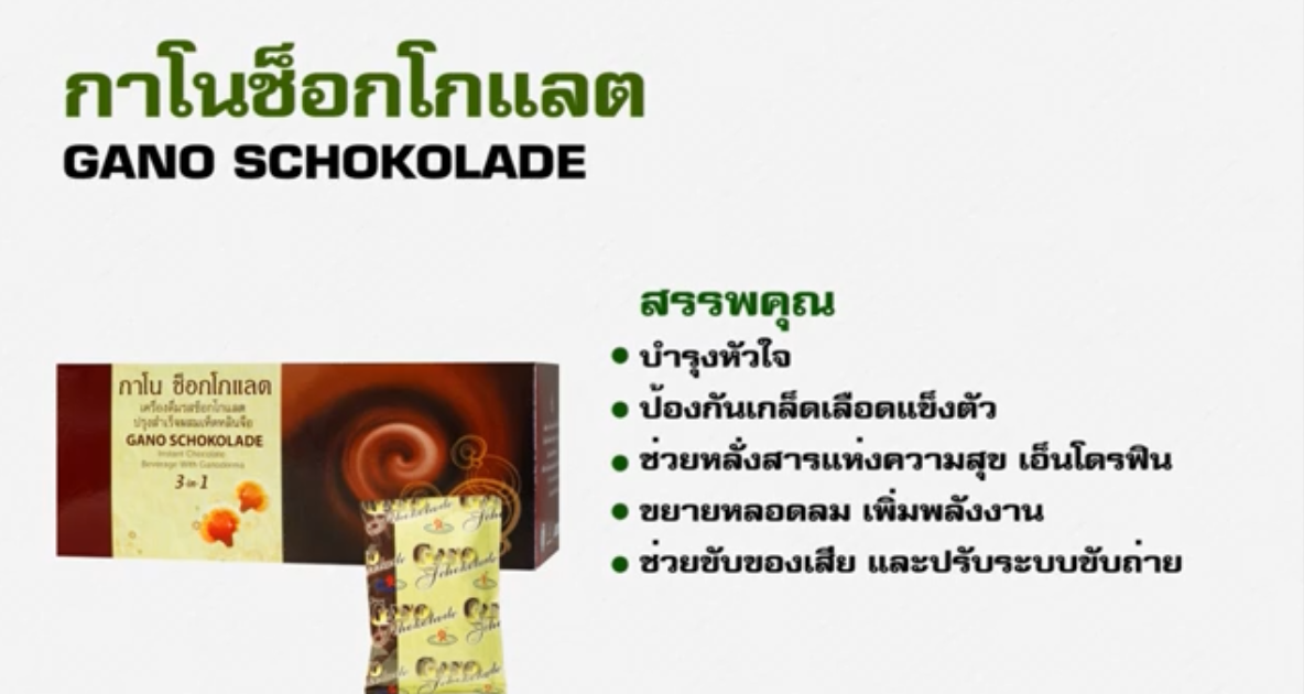 กาโน เอ็กเซล (ประเทศไทย)