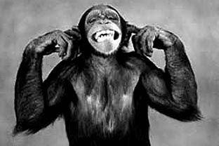 Morgan Deile: Första Mosboken