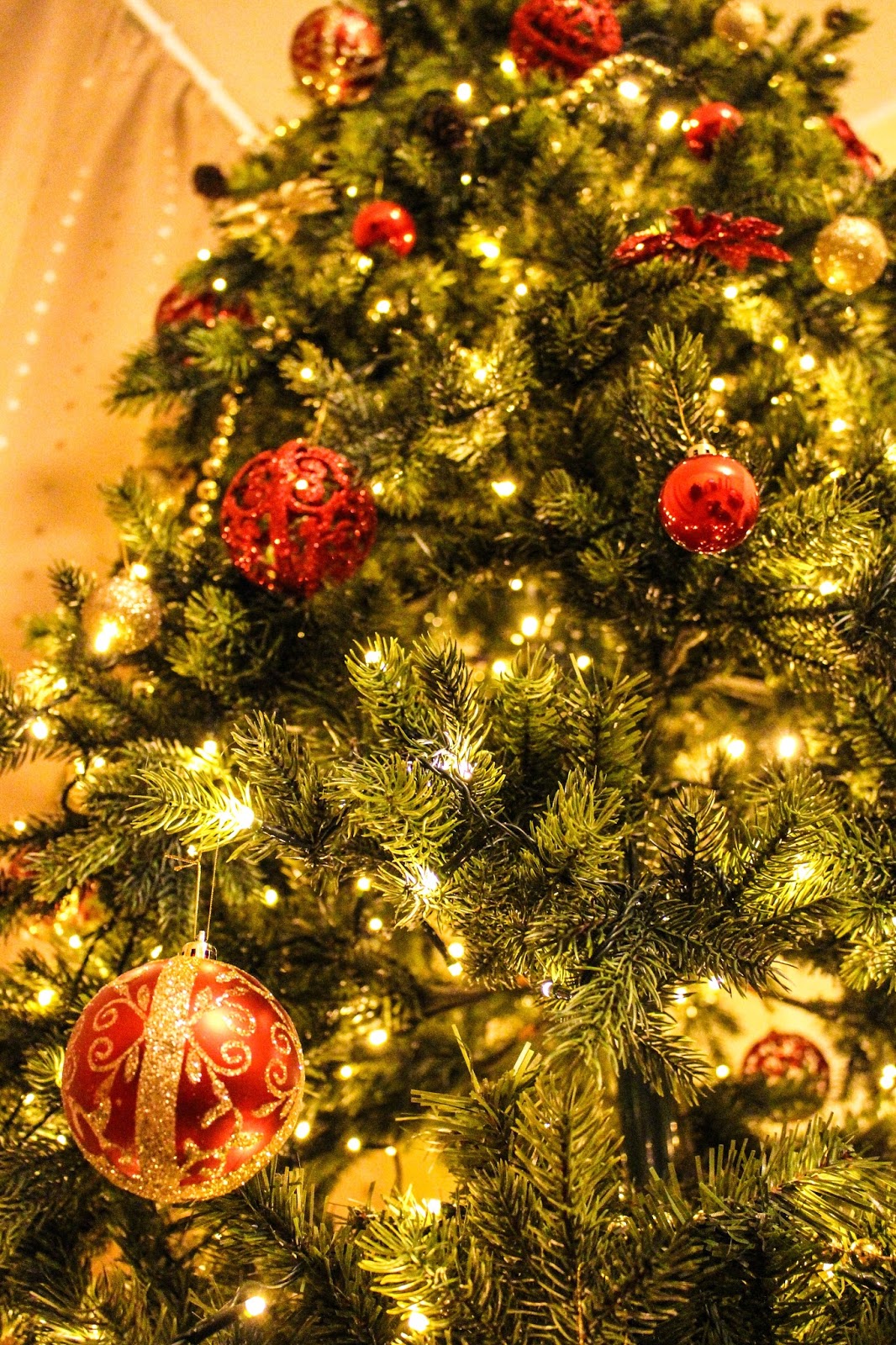 I Wish I Lived In A Library Things I Want To Do In December i-wish-i-lived-in-a-library-things-i-want-to-do-in-december