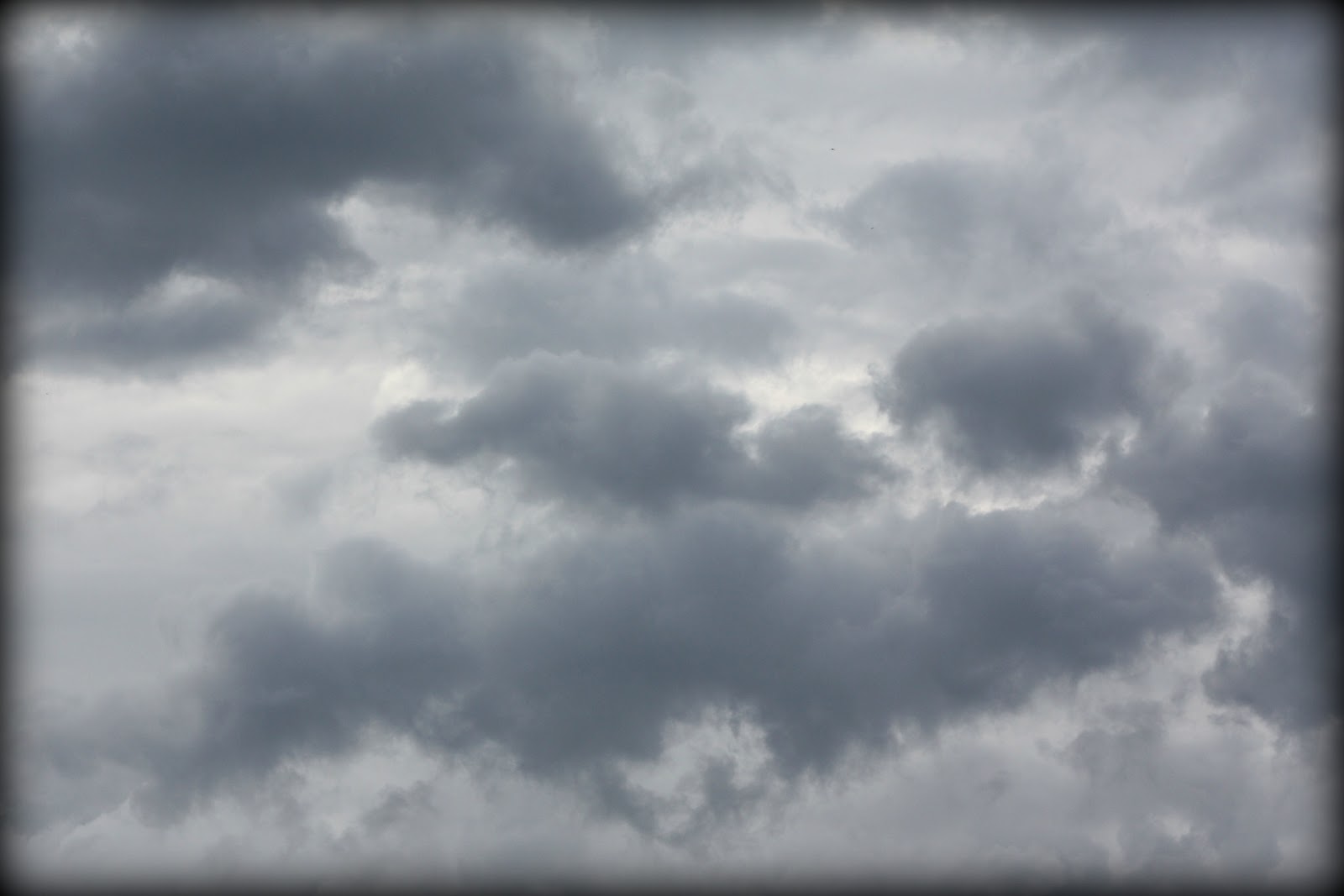 My Memory Art: Summer Rain