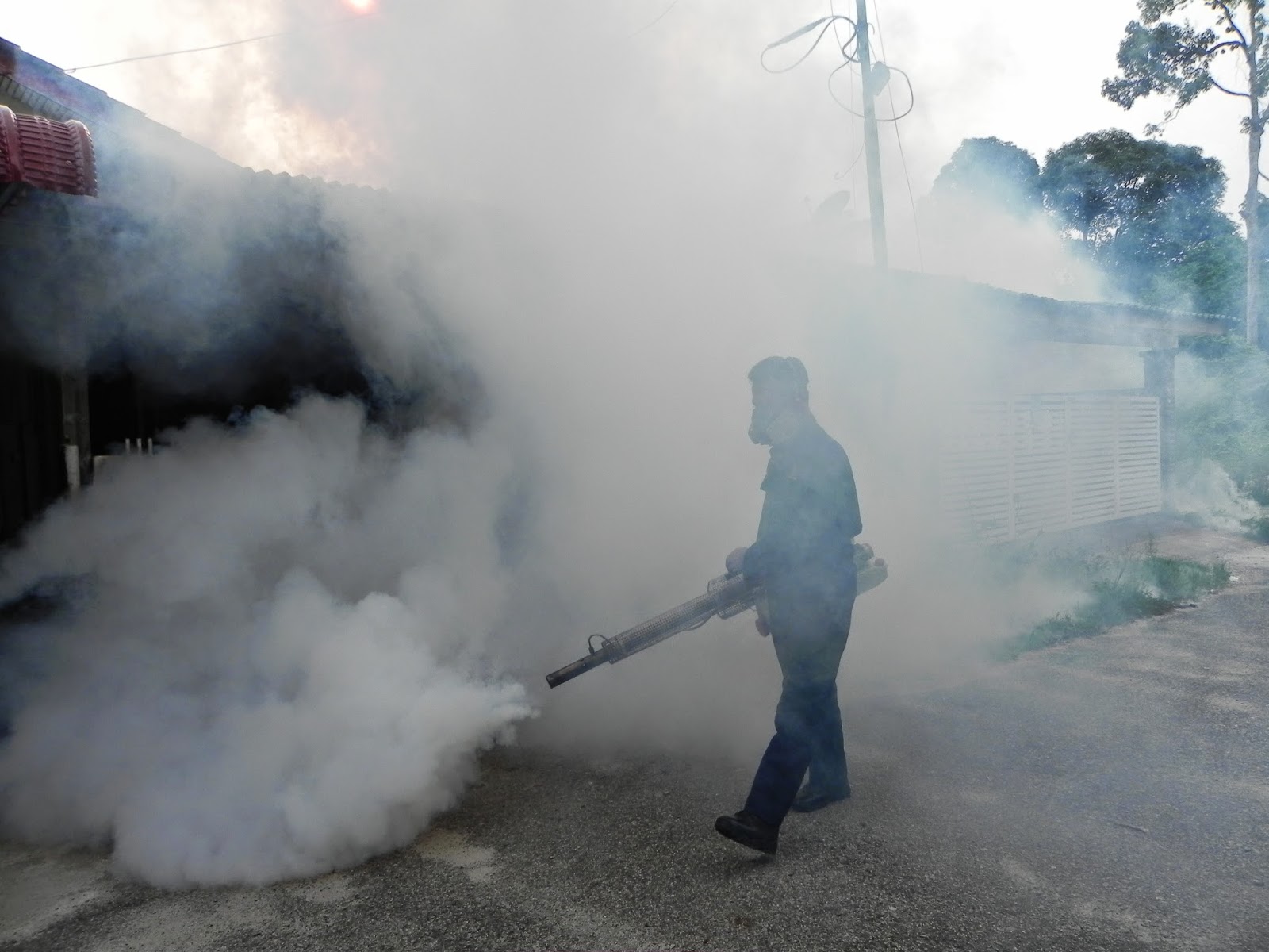 Reaktif: Semburan Asap: Cegah Denggi