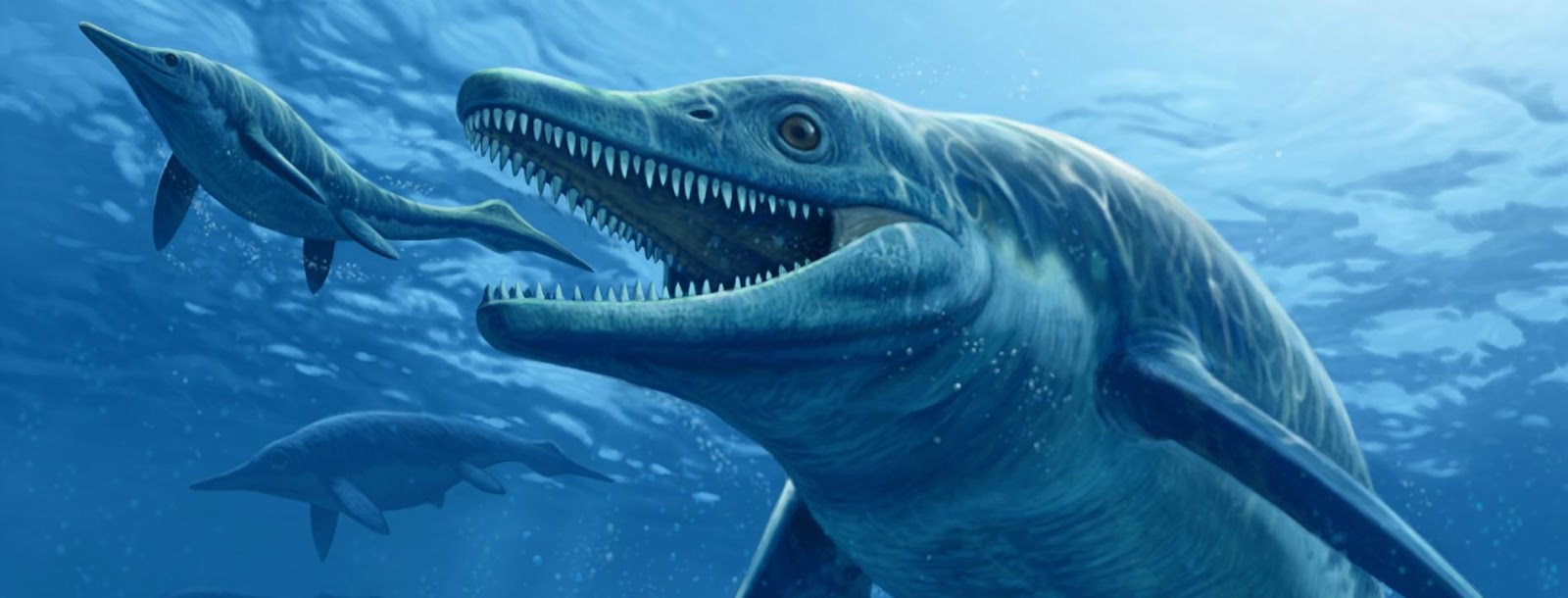 a mesozoic field guide: The Ichthyosaurs