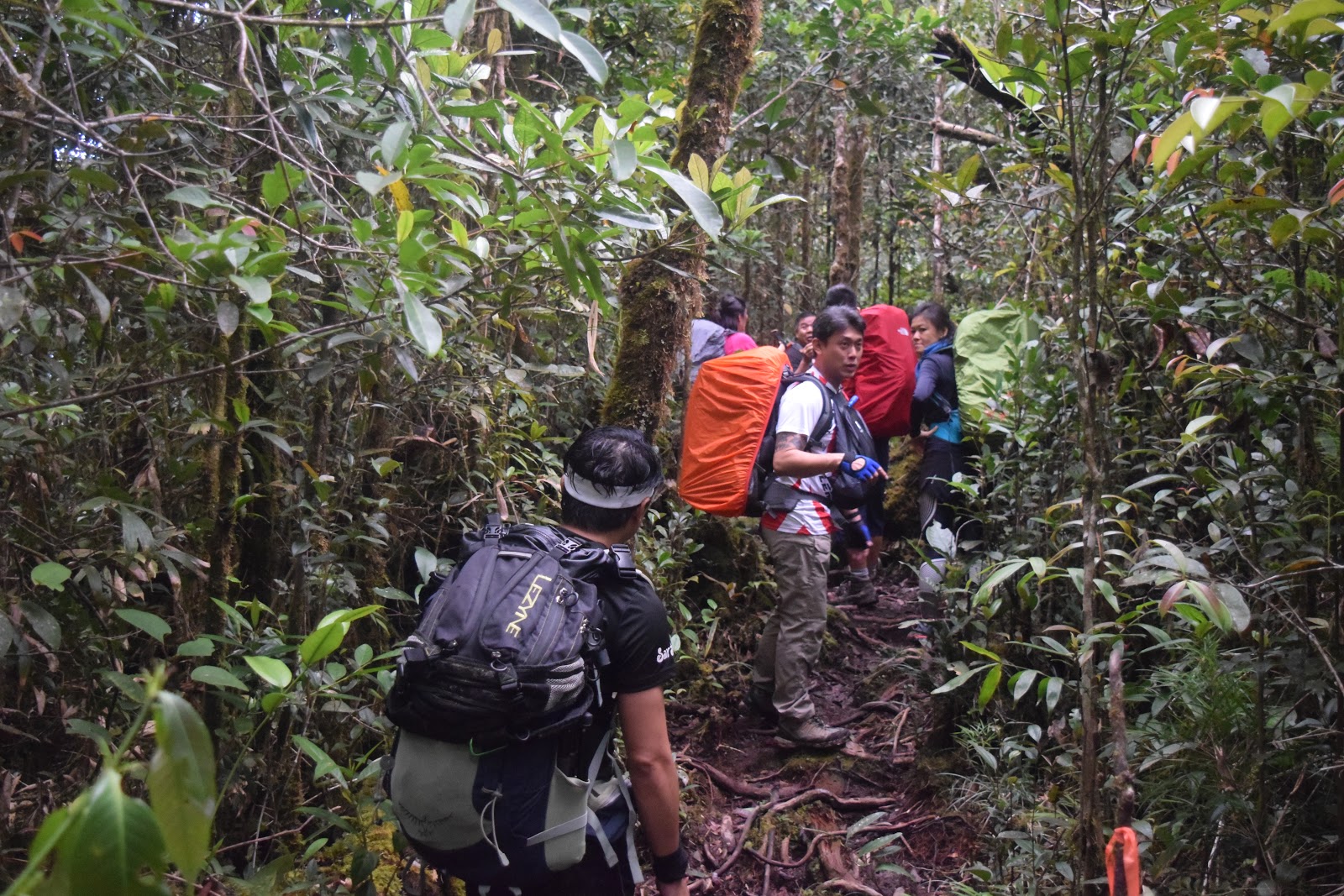 BA KELALAN: Gunung Murud Exp. Photo