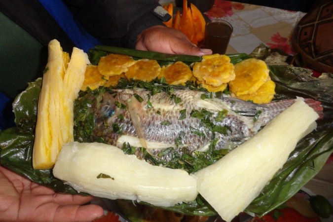 COMIDA TIPICA DE LA AMAZONÍA