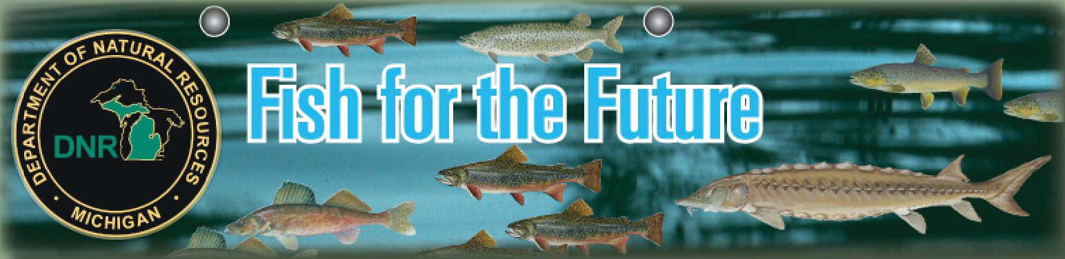 Sustaining Native Fish of Michigan