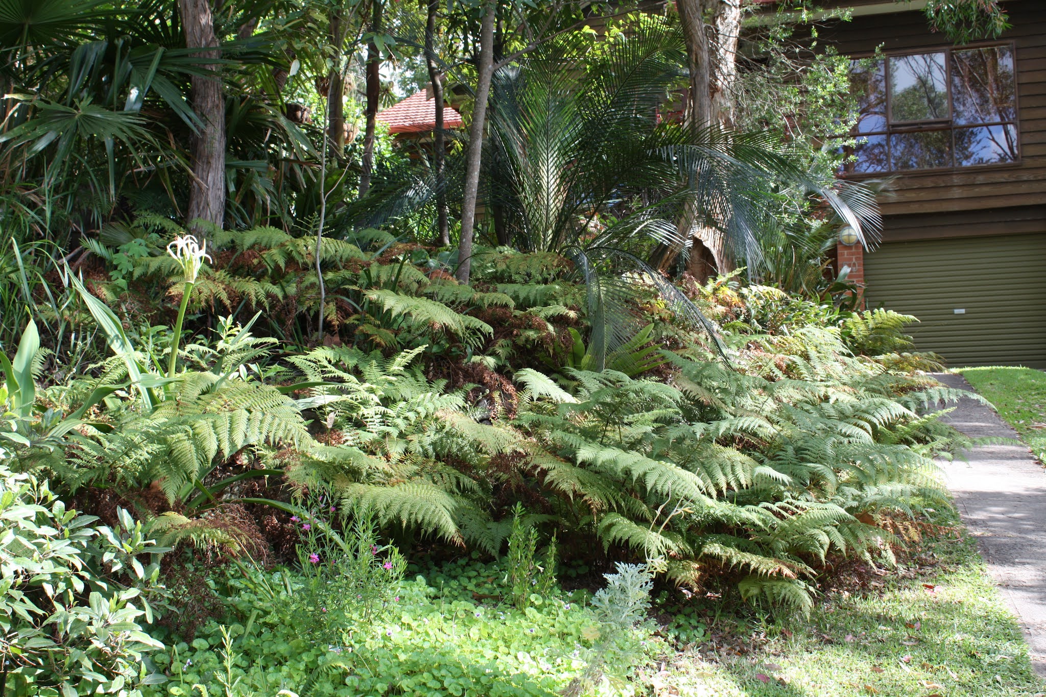 Did you know? Growing Illawarra Natives covers garden design | Growing ...