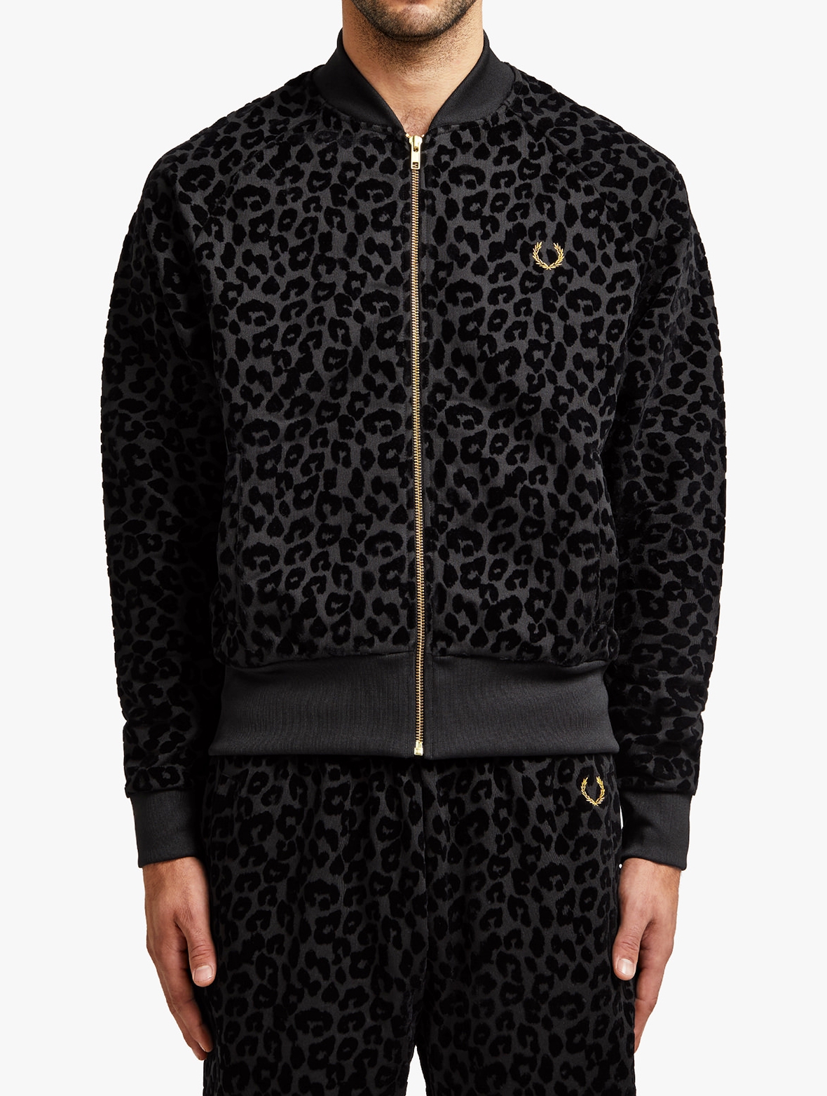 AIOI BLOG: MILES LEOPARD