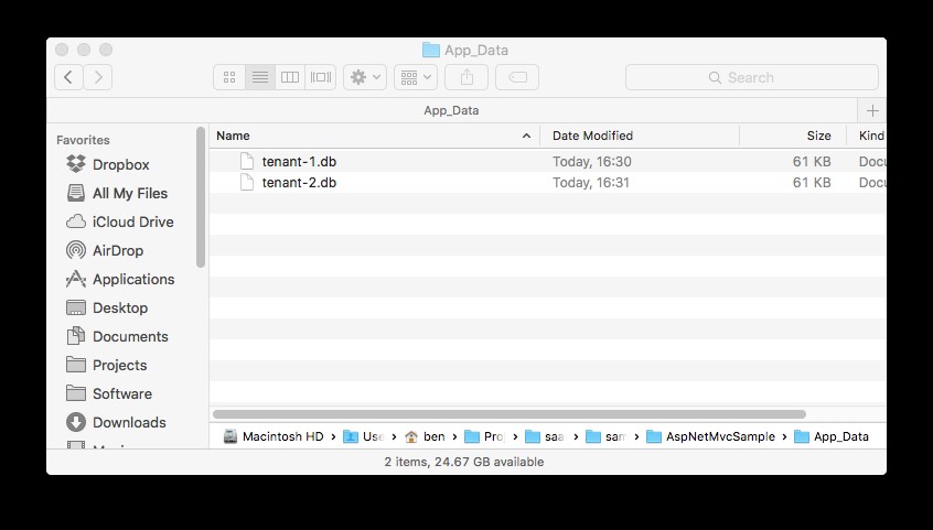 Asp Core Multi Tenancy Data Isolation With Entity