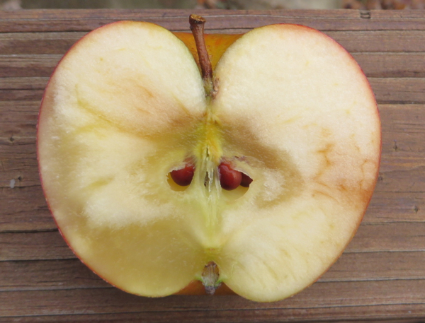 Adam's Apples: Watercore