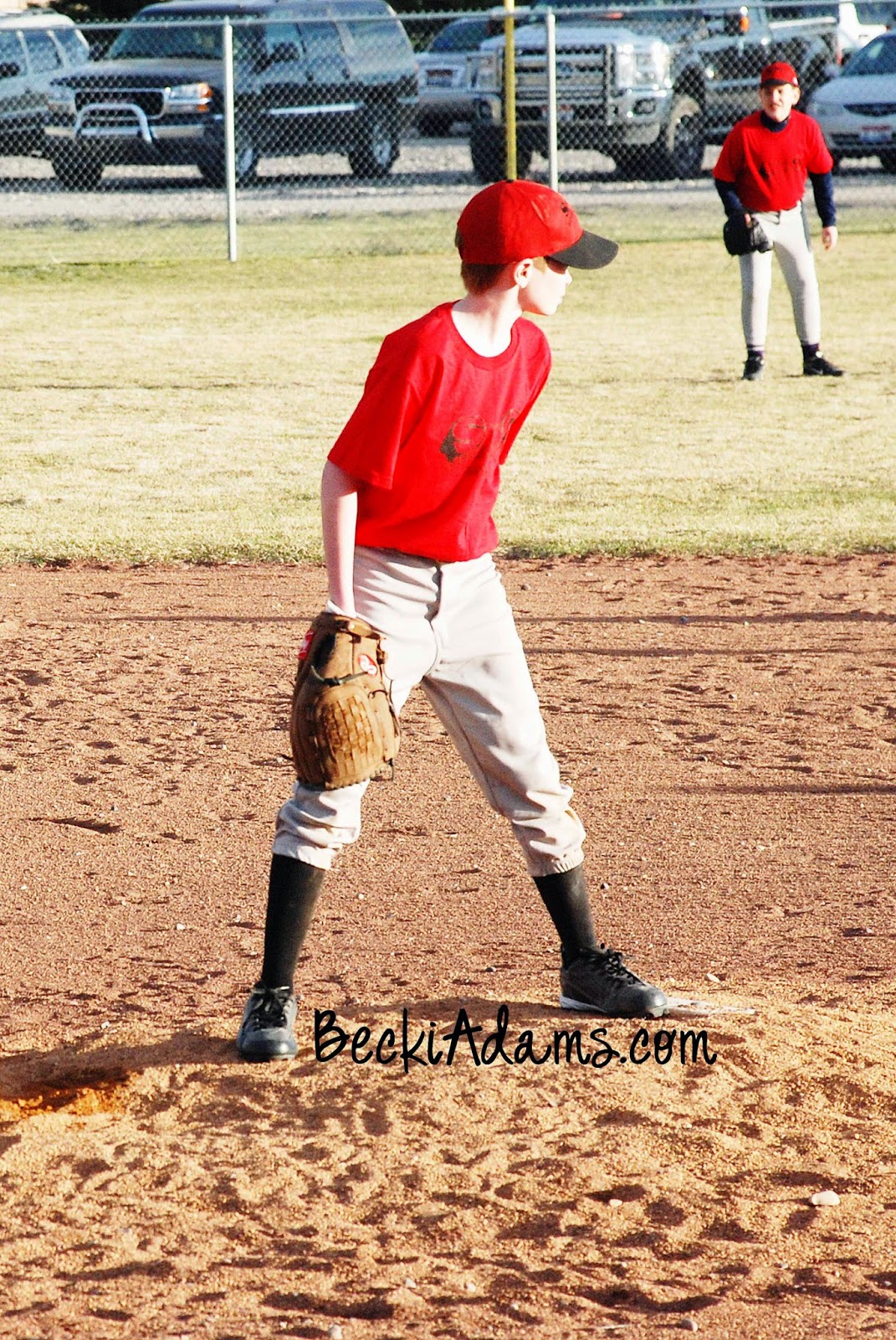 Becki Adams: Baseball Fanatics