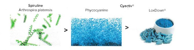 Cerule Québec Fr.: Cyactiv®