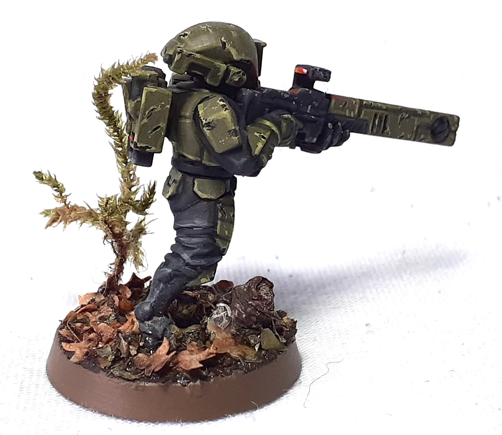 Forest Basing Step by Step