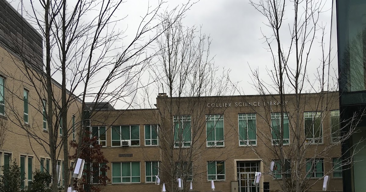 Quantum Theology: In the susurrations of trees