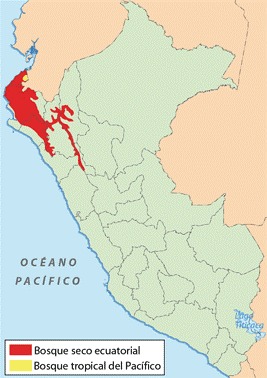 GEO-POLÍTICA CGD: LAS ECORREGIONES