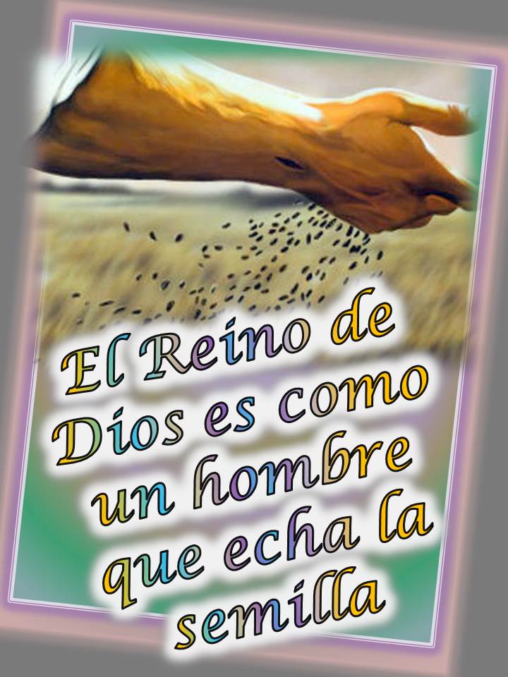 pastoral: Evangelio según San Marcos 4,26-34.