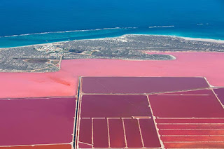 LAGOS ROSAS EN AUSTRALIA EL LAGO HILLIER Y CIA