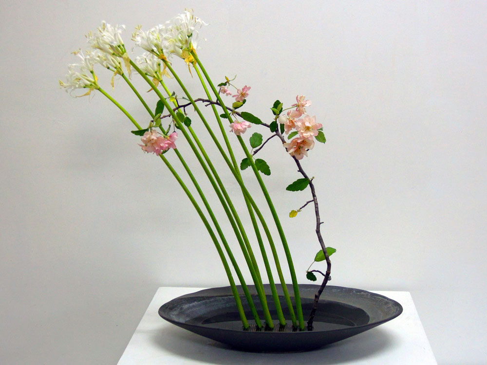 November 2012 ~ Ikebana Gallery Award