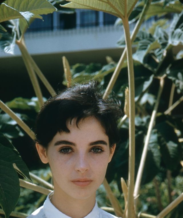 Stunning Color Photos of Millie Perkins in the 1950s and ’60s ~ Vintage ...