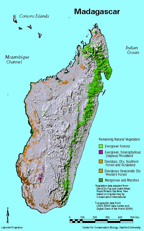 Madagascar Tropical RainForest : Map of the Study Area