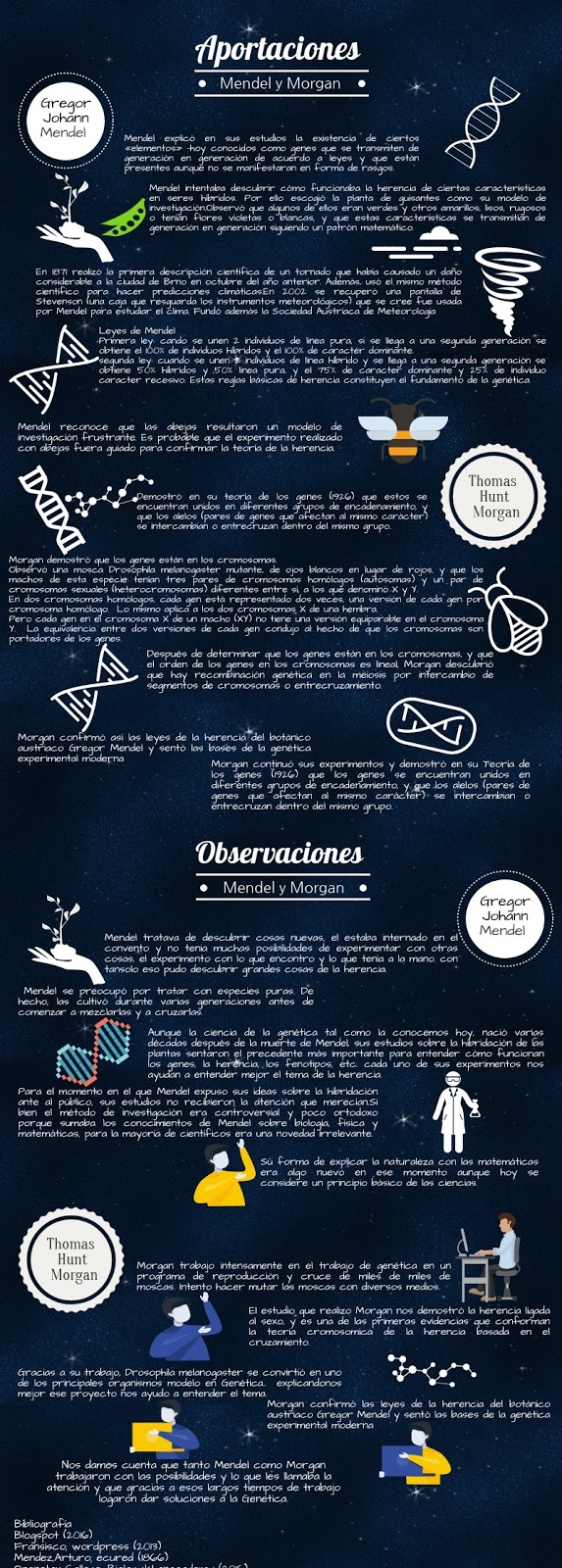 Biology : INFOGRAFIA APORTACIONES DE MENDEL Y MORGAN