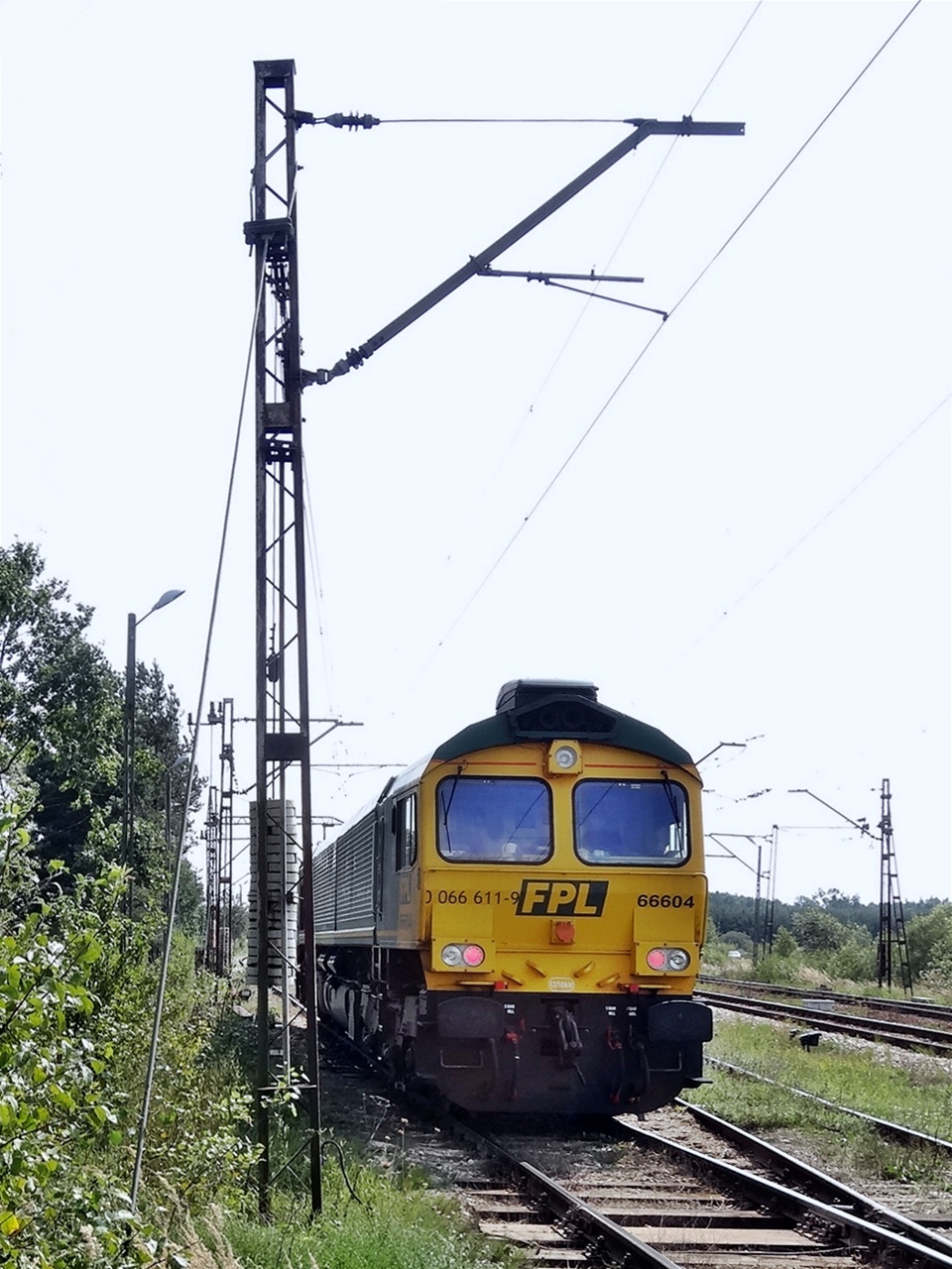 Class 66604 na pustej stacji Nida | Kolejowe Kielce