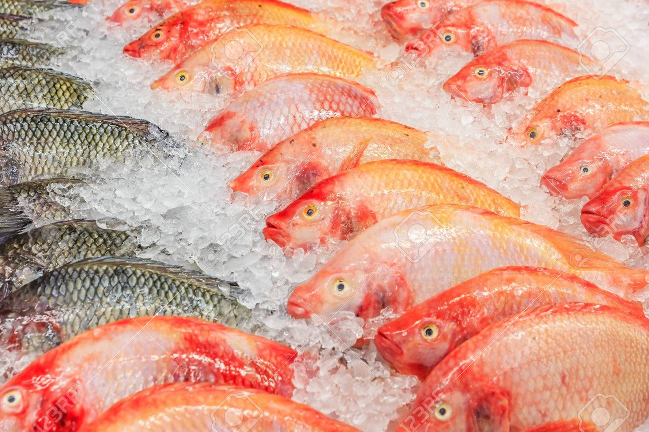 Gobernación y USCO anuncian creación del festival de la mojarra