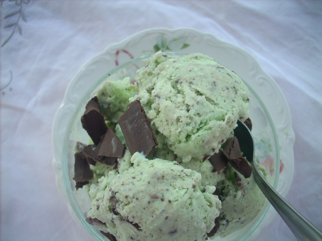 Canela kitchen (gloria): Mint and chocolate Ice Cream