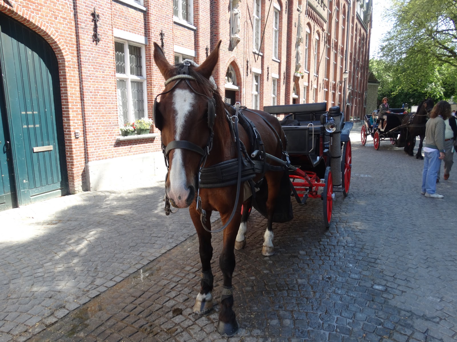 Tour of WW1 and WW2 battlefields: In Bruges...