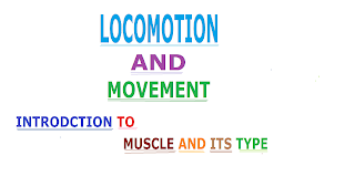 INTRODUCTION TO MUSCLE AND ITS TYPE