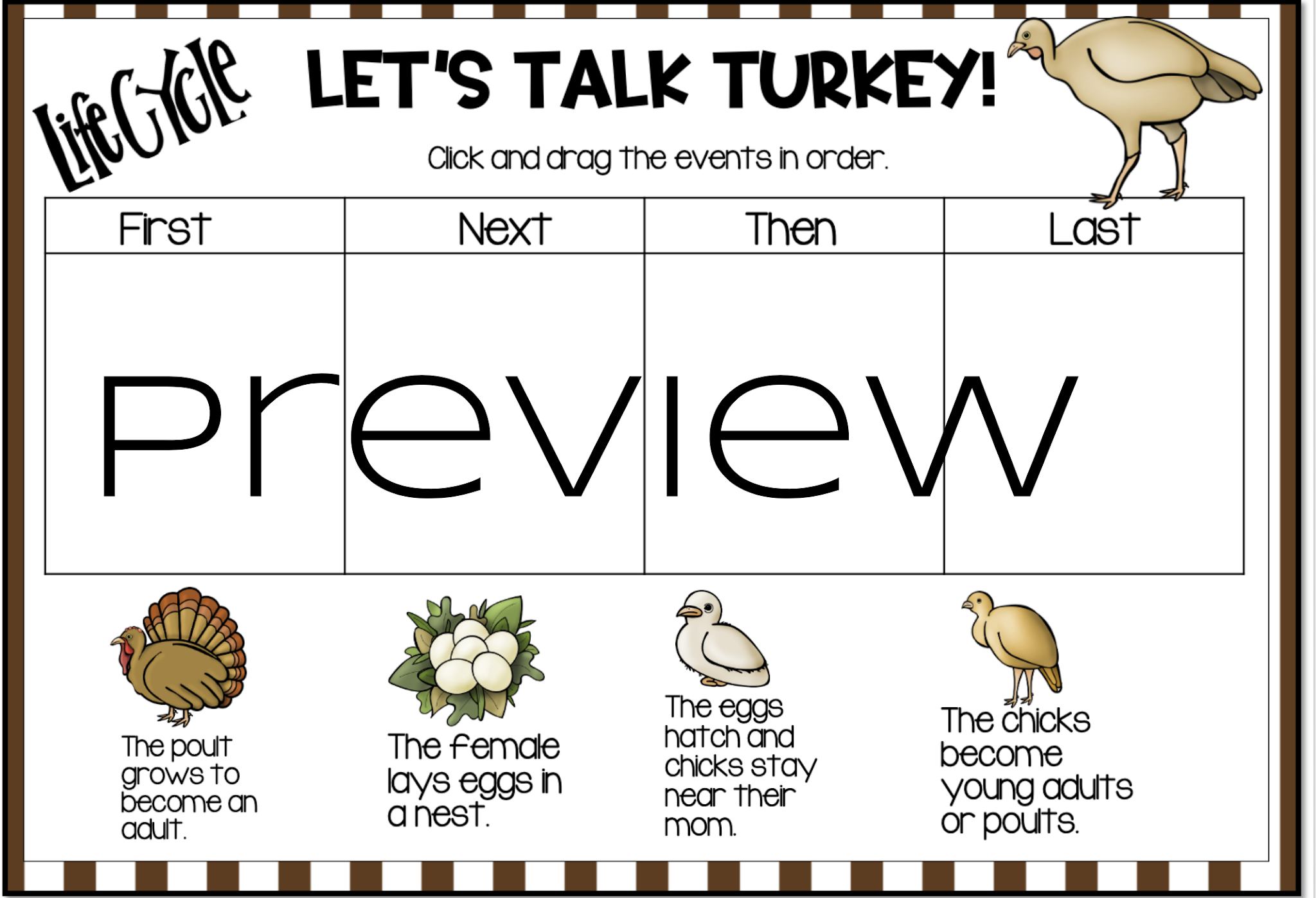 1st Grade Hip Hip Hooray!: Let's Talk Turkey!
