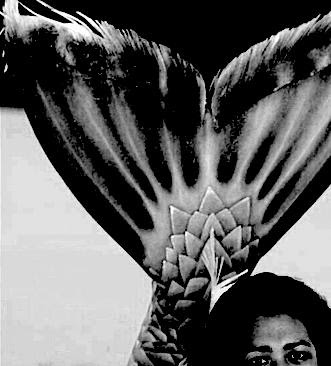 kabisdak: ang kataw sa karnabal