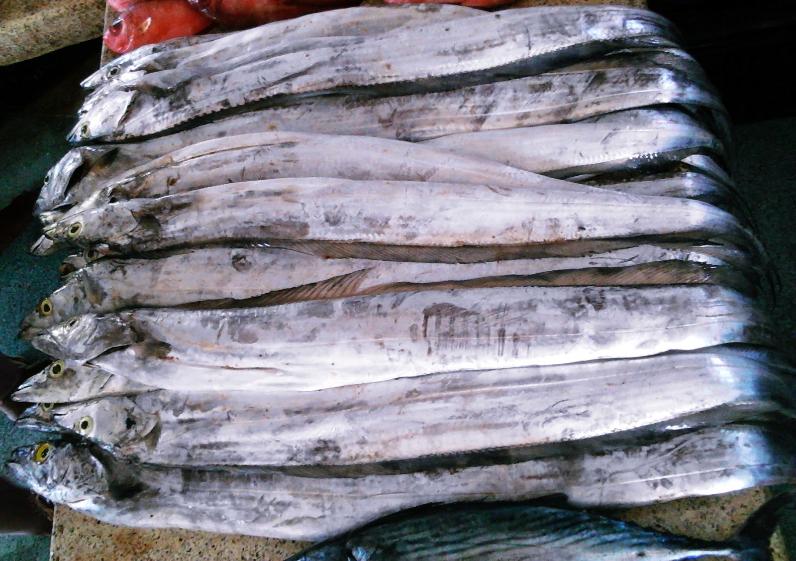 De queso es la luna: Tesoros del mar