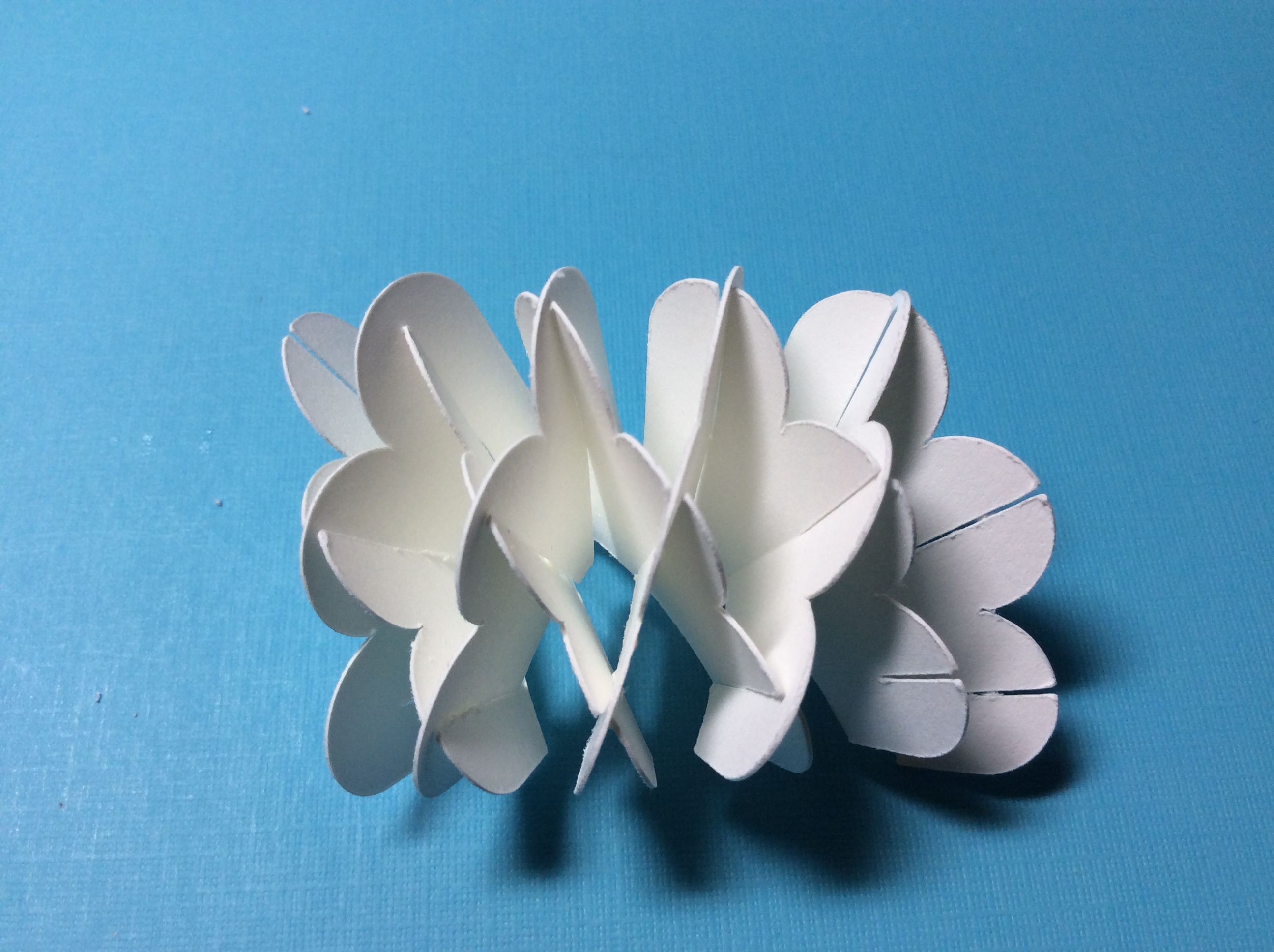 Papercrafts and other fun things: A STEM Project: An Amazing Slice Form ...