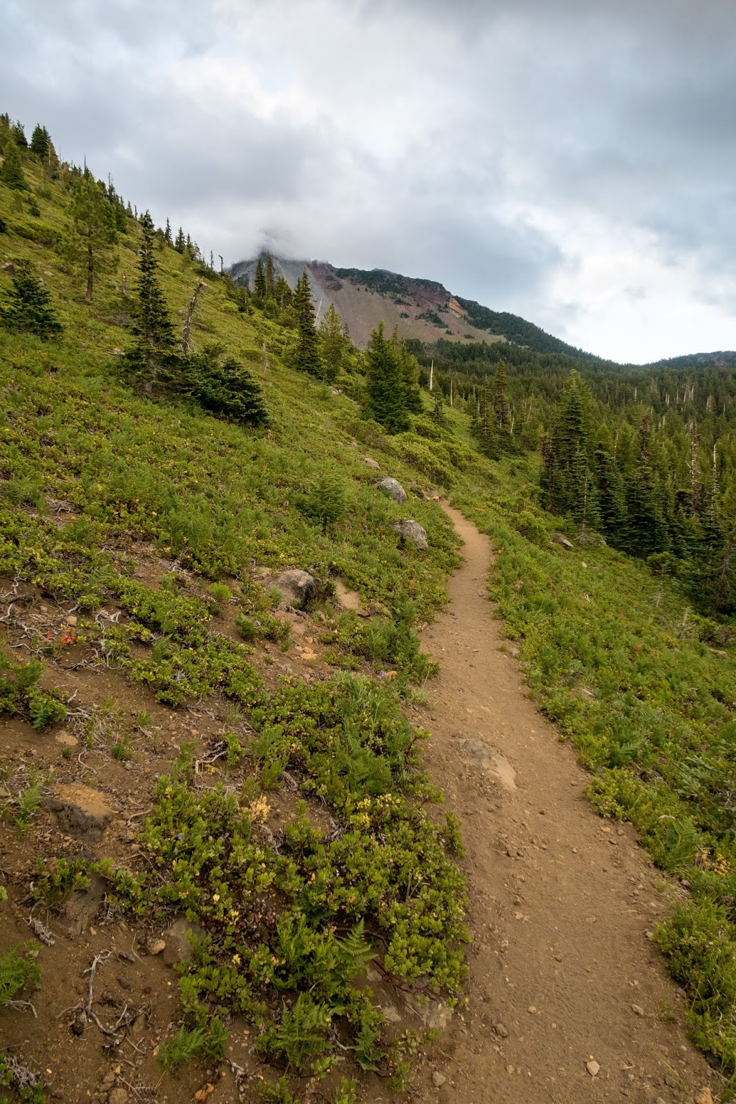 Eric's Hikes: Pacific Crest Trail: Santiam Pass to South Matthieu Lake