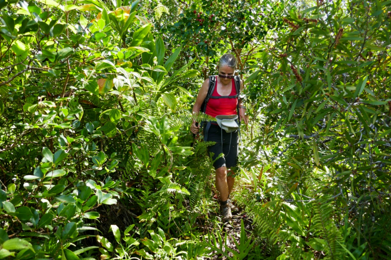 Ololeaho Trail - Haena Beach