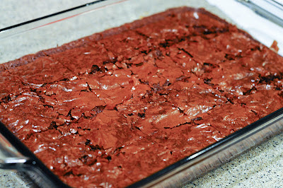 HUNGRY?: Kitty Litter Cake