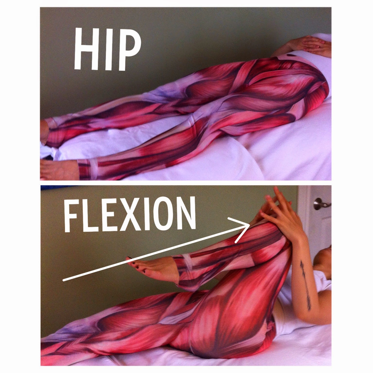 The Hip Joint: IlioPsoas: Psoas Major & Iliacus (and what the heck ...