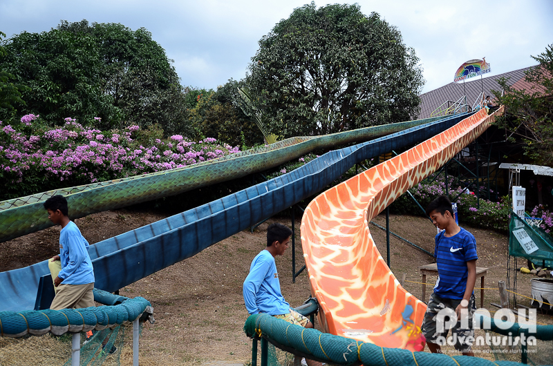 TOP PICKS: 15 Fun and Exciting Things To Do in Zoocobia Fun Zoo You ...