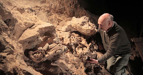 XTerraSpace: South African skeleton shows humans learnt to walk upright ...