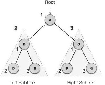 Binary Tree Traversal: Preorder, Inorder, Postorder - data structures ...