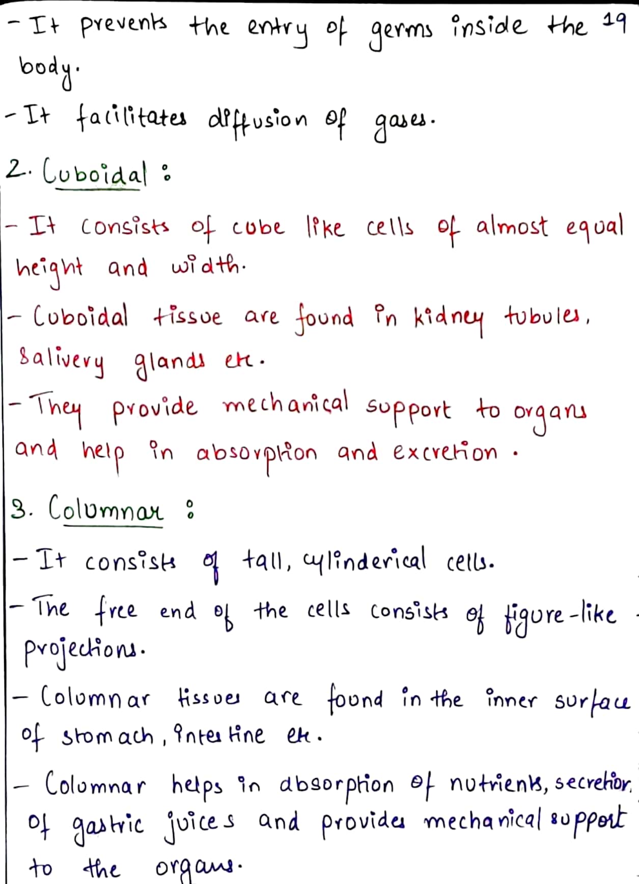 Tissue class 9 notes - Studypur