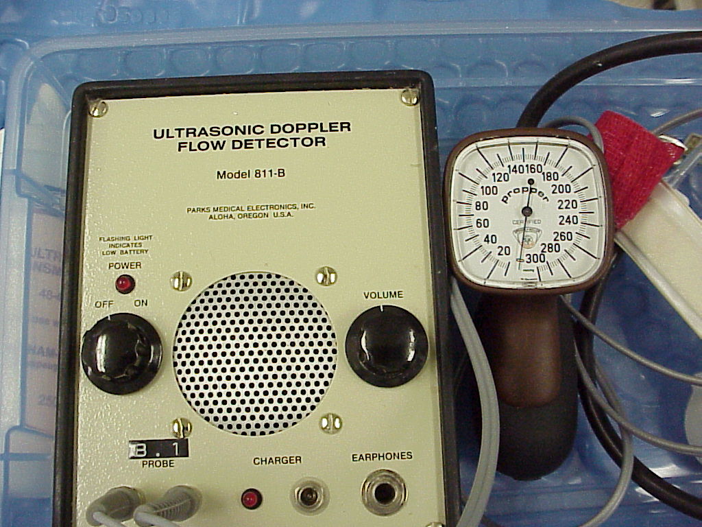 Exclusively Cats Veterinary Hospital Blog: Feline Hypertension: What ...