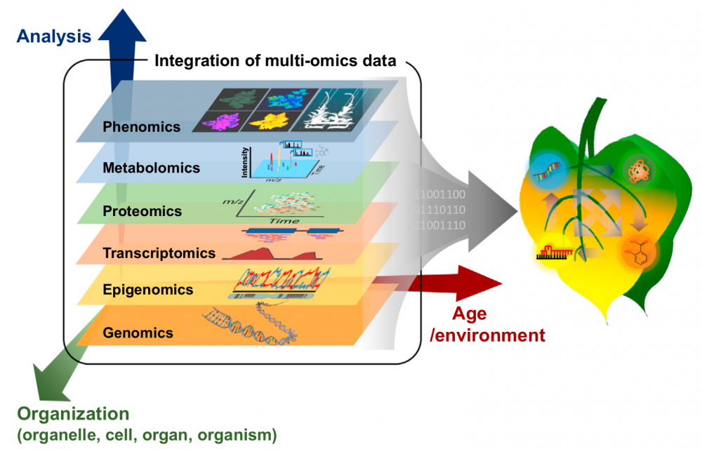 Biology: Mengenal Omics-Era: Pengertian dan Sejarah Omics