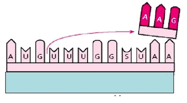 lebioging.blogspot.com: MUTASI