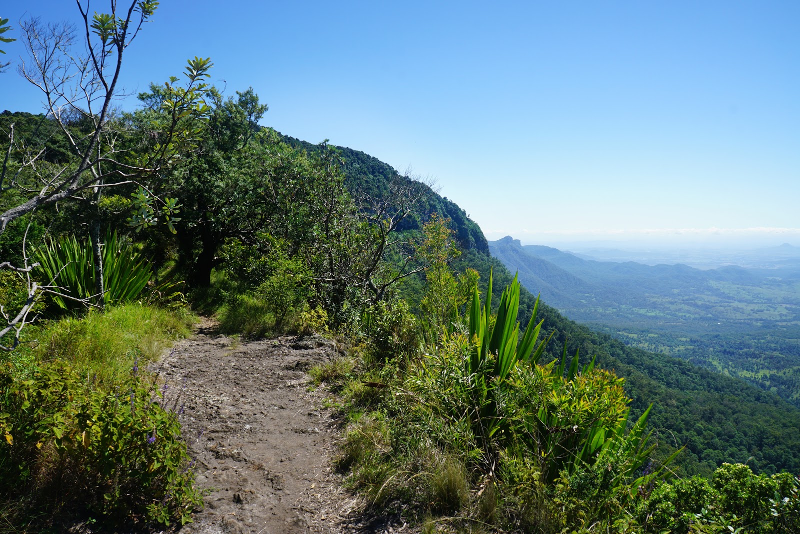 Mt Cordeaux and Bare Rock (Main Range National Park) ~ The Long Way's ...