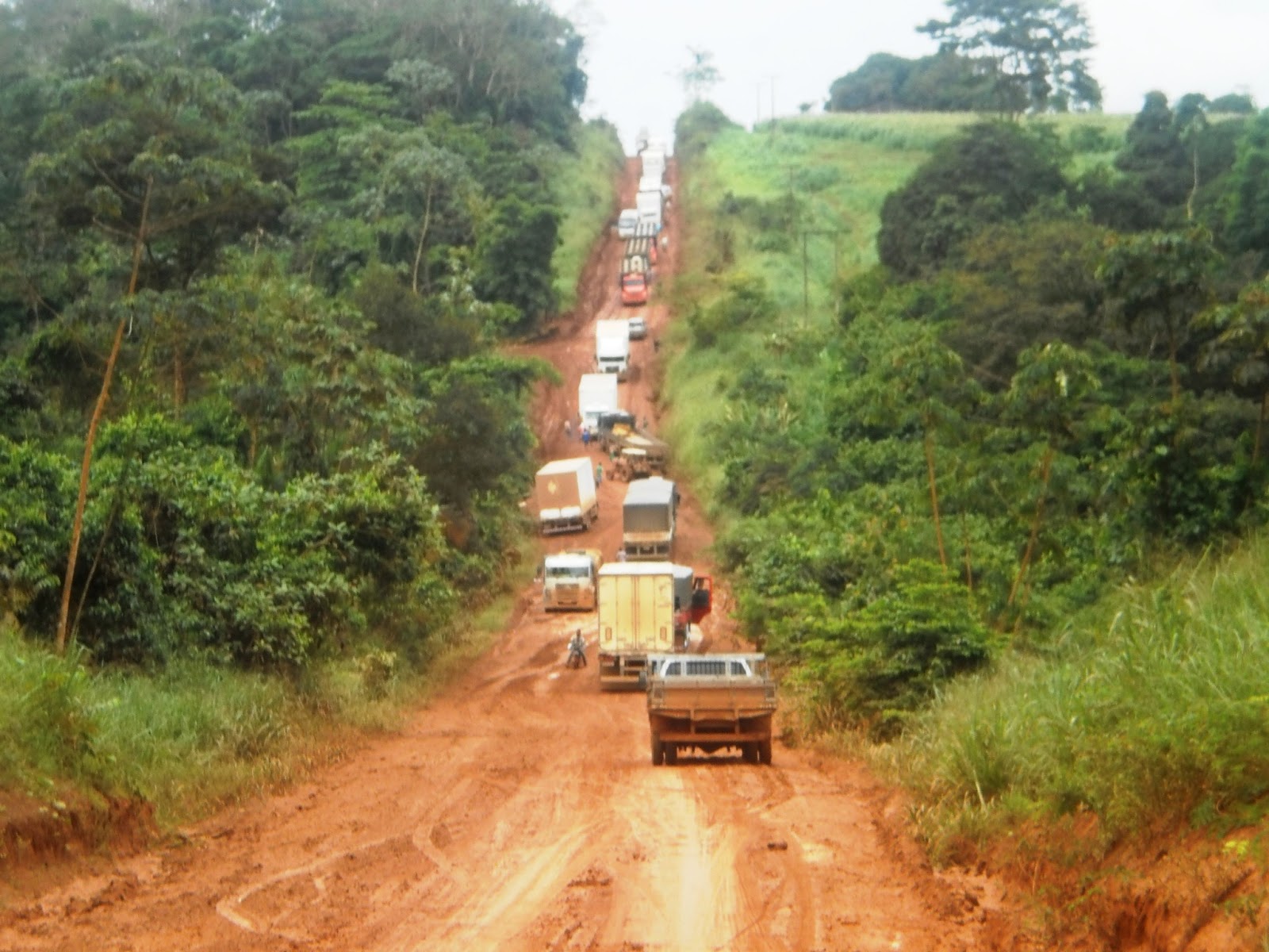 O Que é Transamazonica - LIBRAIN