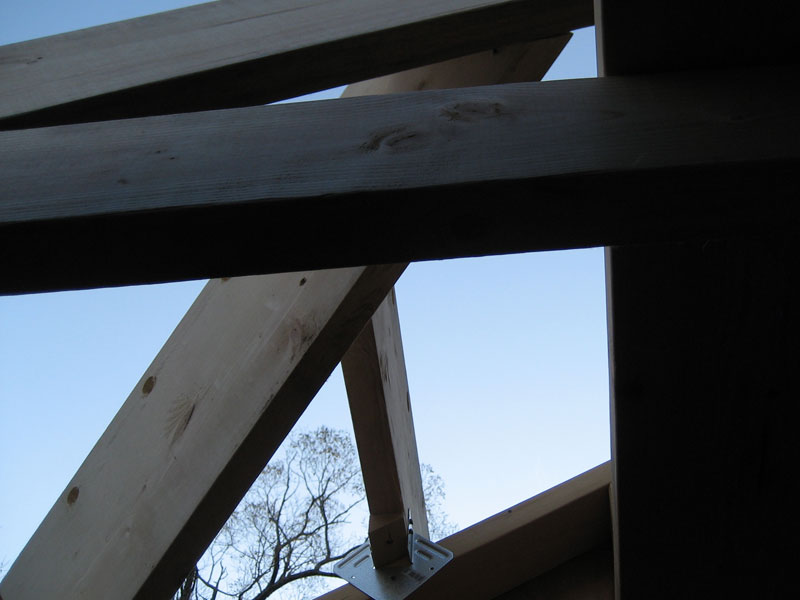RiverEdge: Roof Rafters 5